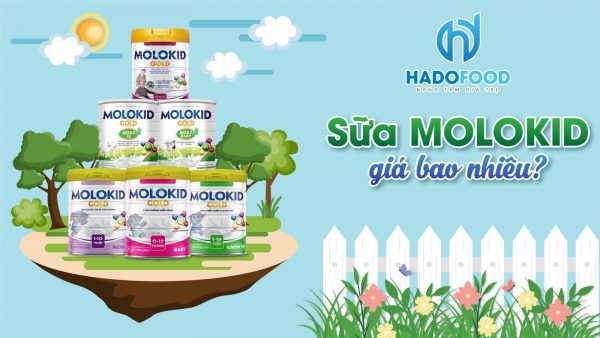 Sữa Molokid giá bao nhiêu? - Công Ty Cổ Phần Dinh Dưỡng Hadofood